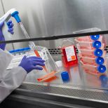 Guidelines for Use: Transwell® Permeable Supports | Life Sciences | Corning