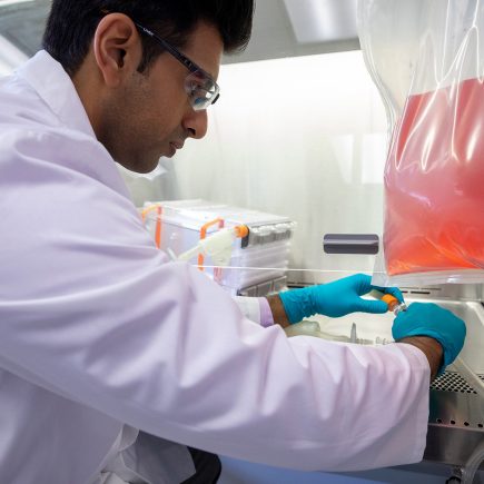 Preparing for a FBS Shortage: 4 Ways to Safeguard Your Supply of Fetal ...