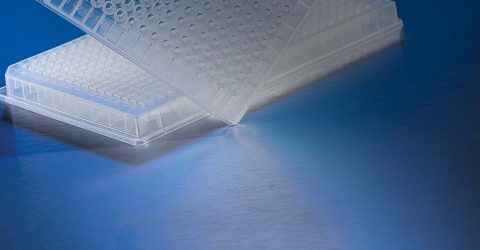 CellBIND® Surface | Advanced Tissue Culture | Corning