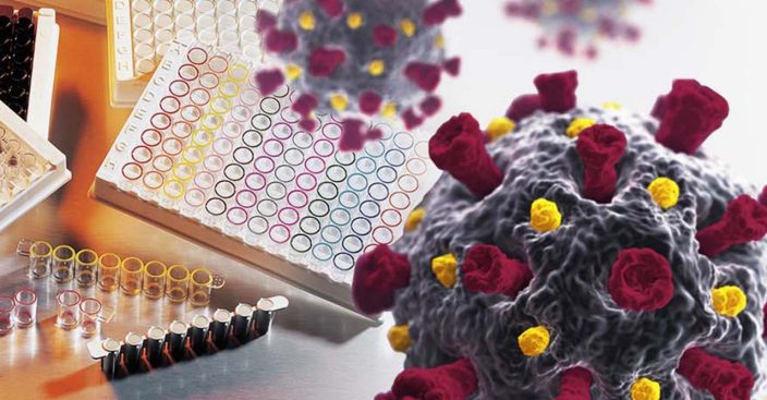 ELISA Plates | Drug Discovery with ELISA Microplates | Corning