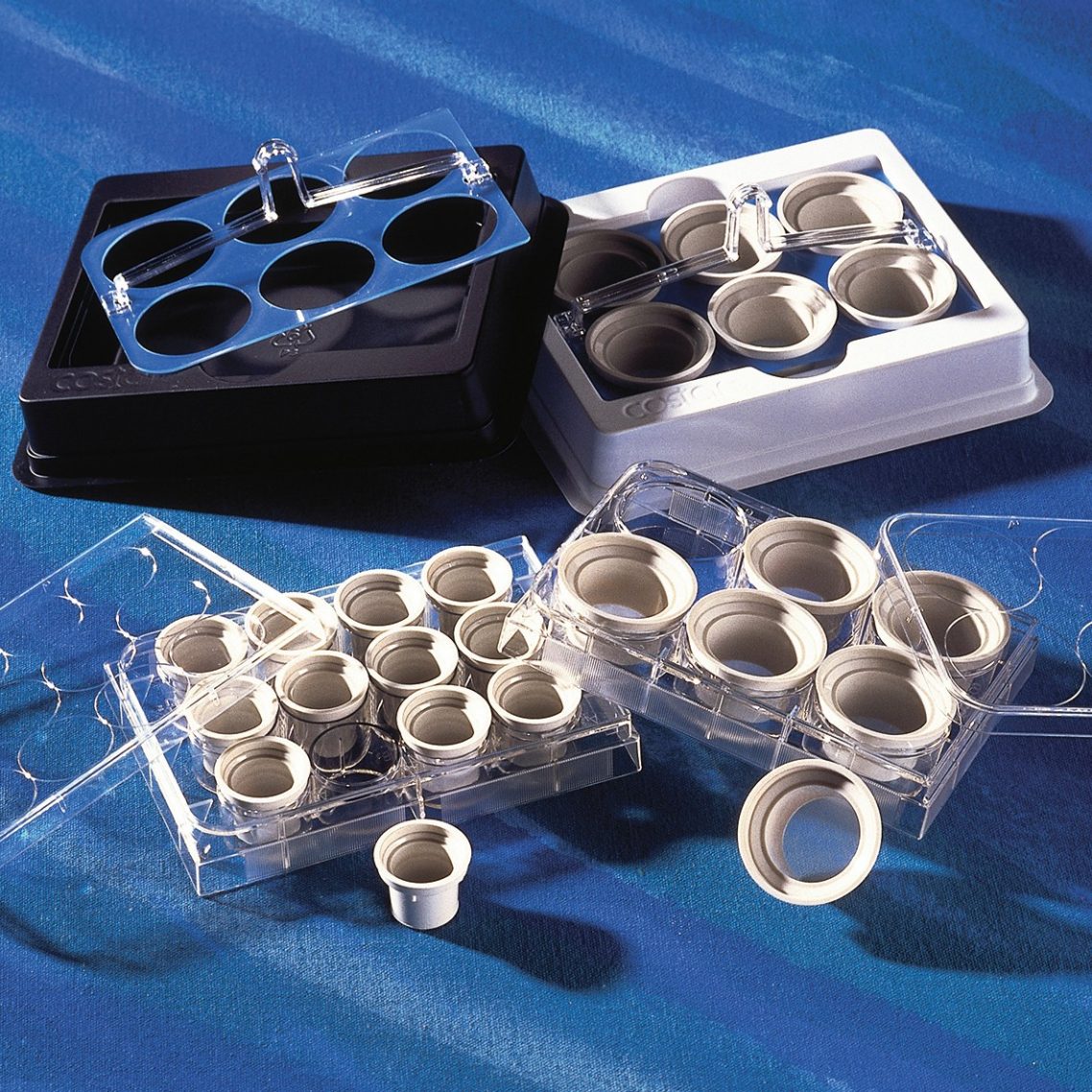 Corning® FluoroBlok™ 细胞培养小室