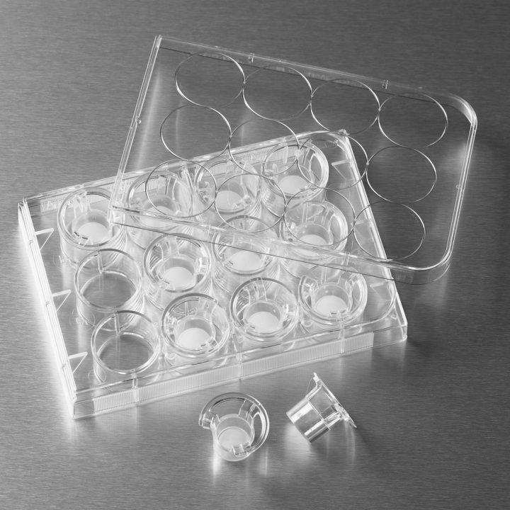 Permeable Supports | Individual Inserts | Corning