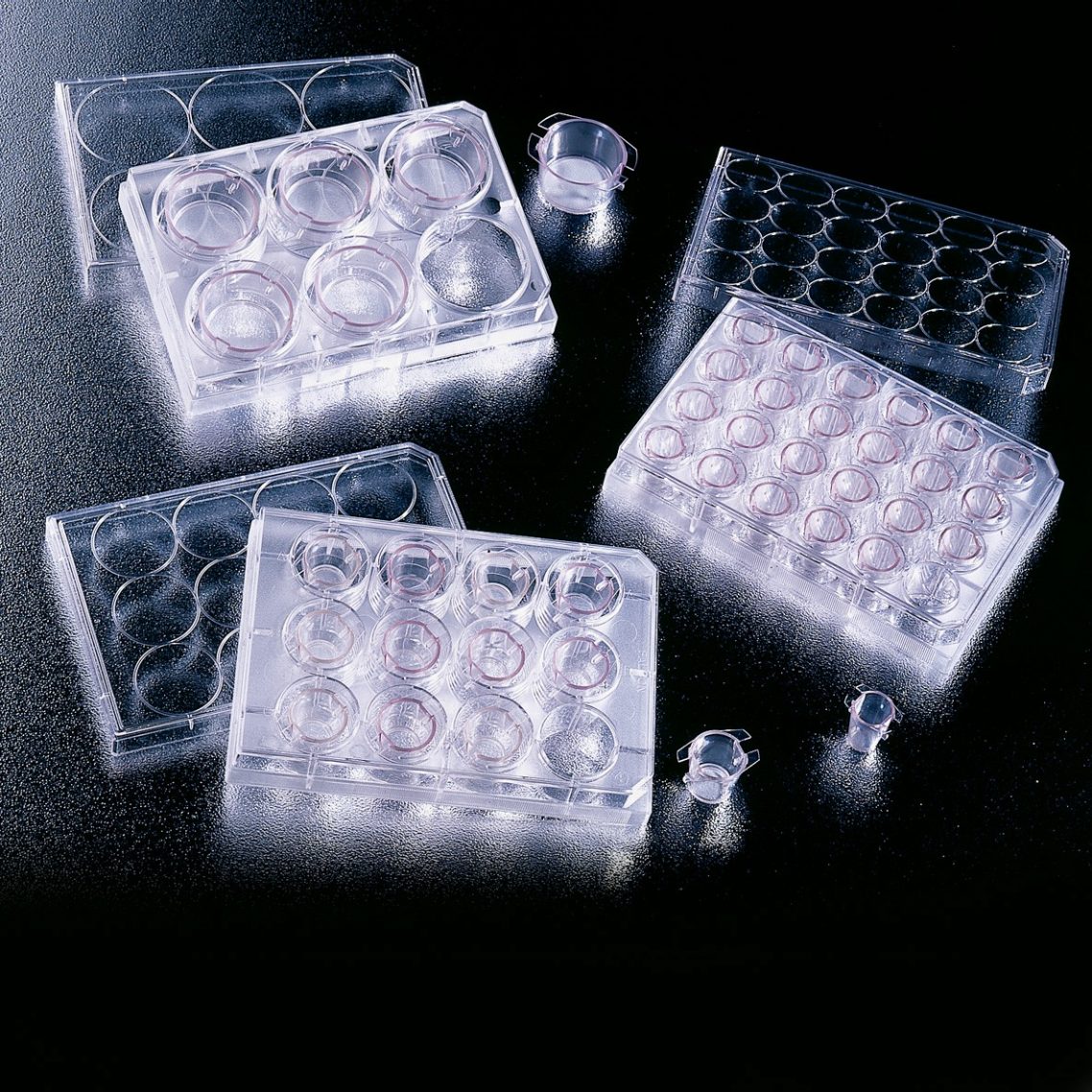 Cancer Research Products | Cancer Cell Research Resources | Corning