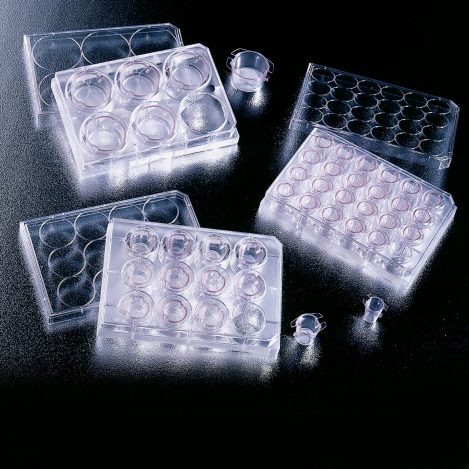 Cancer Research Products | Cancer Cell Research Resources | Corning