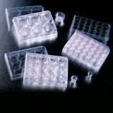 Guidelines for Use: Transwell® Permeable Supports | Life Sciences | Corning