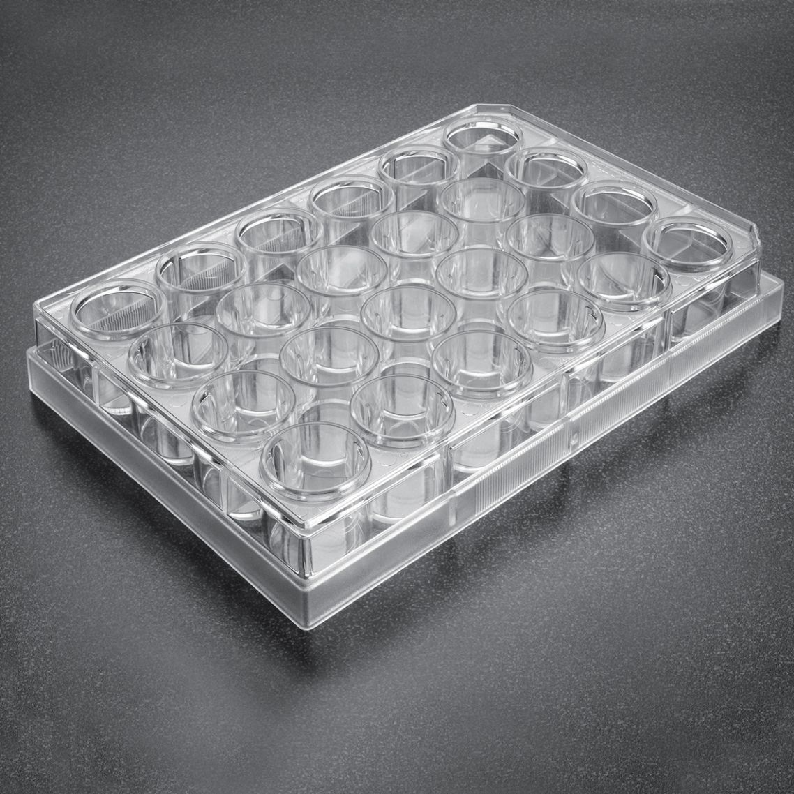 Corning®FluoroBlok™セルカルチャーインサート｜遮光PETメンブレン | Corning