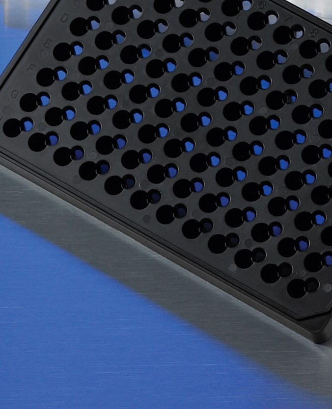 Corning®FluoroBlok™セルカルチャーインサート｜遮光PETメンブレン | Corning