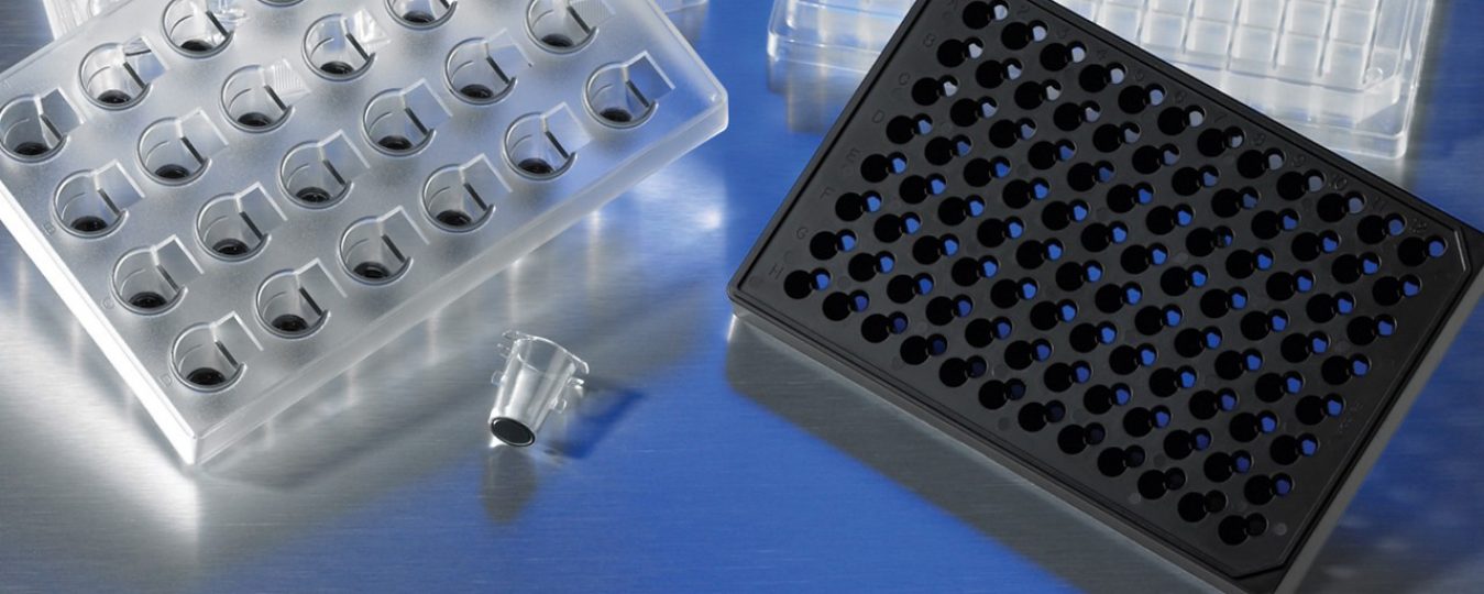 Corning®FluoroBlok™セルカルチャーインサート｜遮光PETメンブレン | Corning