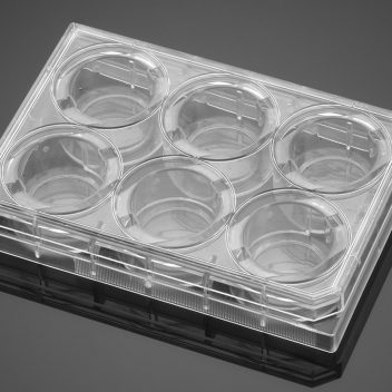 Corning® FluoroBlok™ Cell Culture Inserts | Light-tight PET Membrane ...