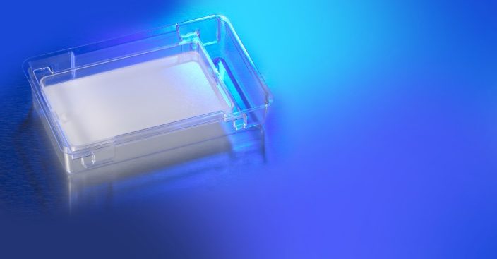 Permeable Supports | Individual Inserts | Corning