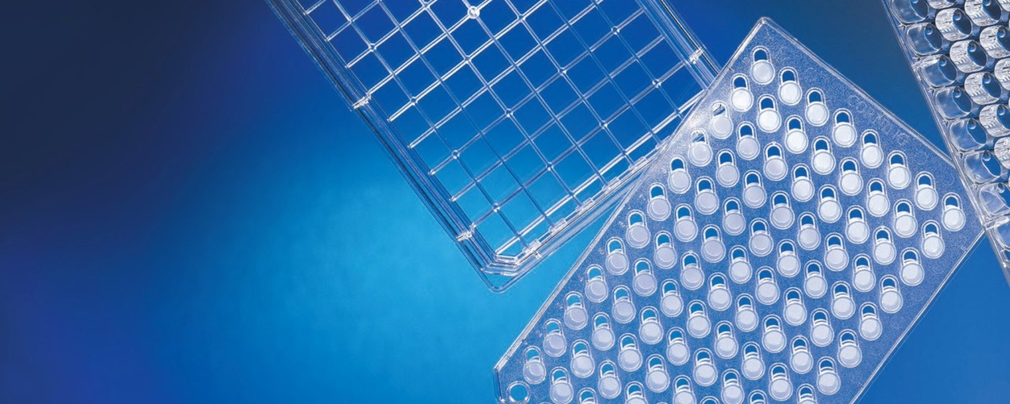 Permeable Supports Selection Guide | Inserts | Corning