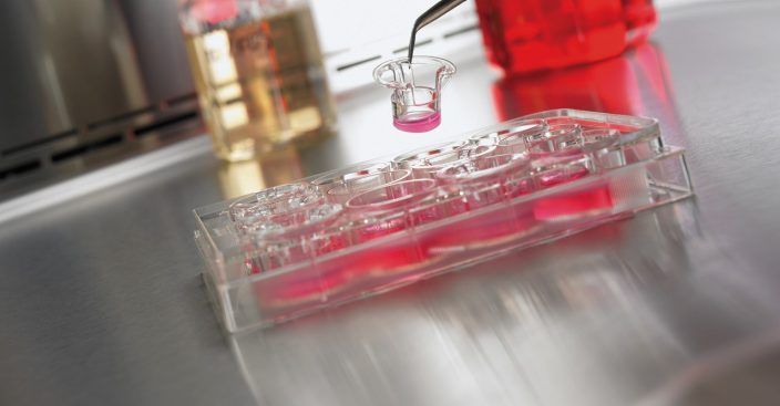 Cell Culture Products | Cell Cultureware, Plates, Surfaces and Media ...