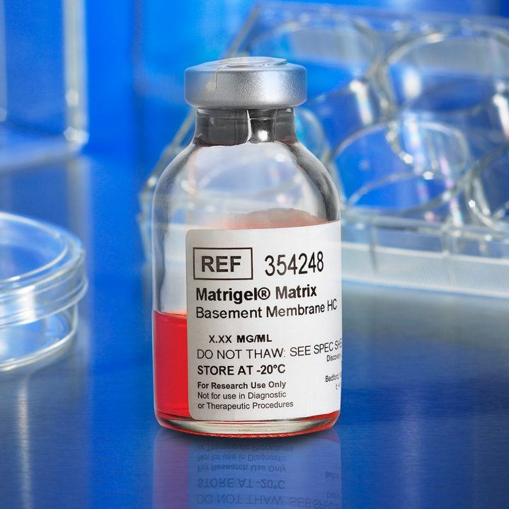 Permeable Supports | Individual Inserts | Corning