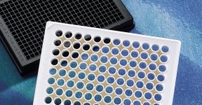 Corning® BioCoat™ Surfaces | BioCoat Cultureware | Corning