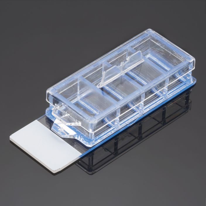 Corning® BioCoat™ Surfaces | BioCoat Cultureware | Corning