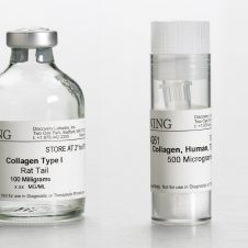 Corning® Matrigel® Matrix and Collagen Availability Update