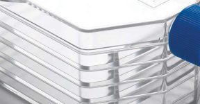 Stem Cell Products | Stem Cell Therapy Products | Corning