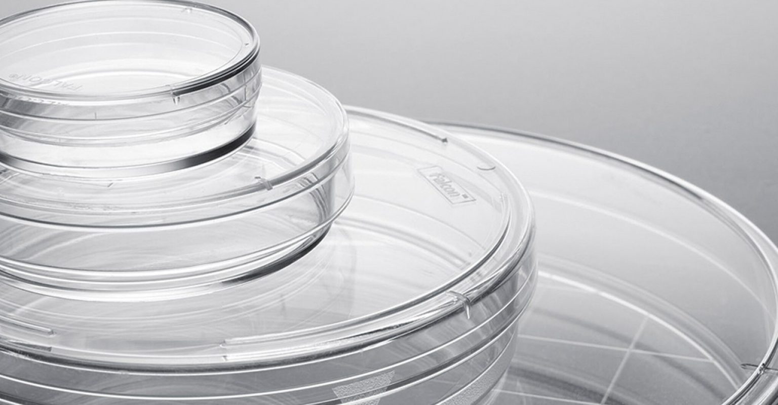 CellBIND® Surface | Advanced Tissue Culture | Corning