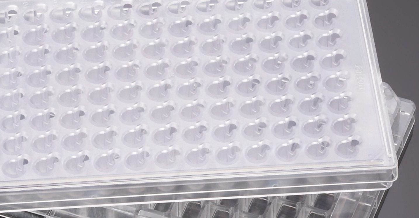 Corning® CellBIND® 表面 | 带负电荷的先进组织培养表面 | 康宁