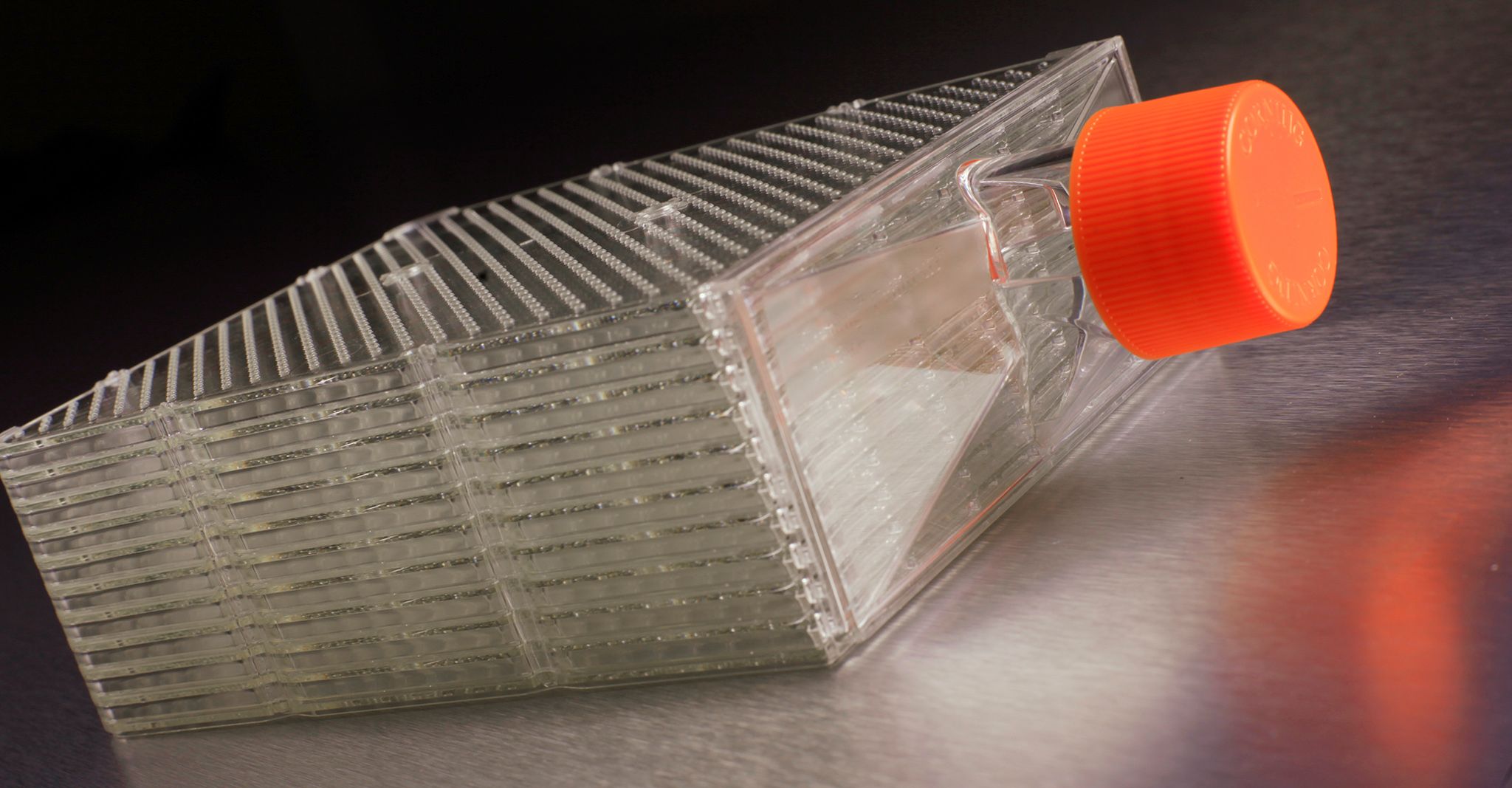 Corning® Collagens | Cell Culture Success | Corning