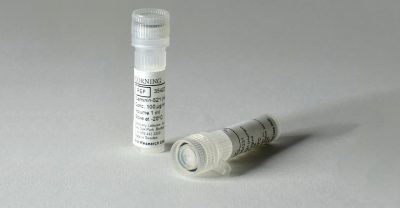 Tumorigenesis Research Lab Tools | 3D Tumor Spheroid Models | Corning