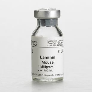 Corning® Laminin Surface | Laminin Coating | Corning