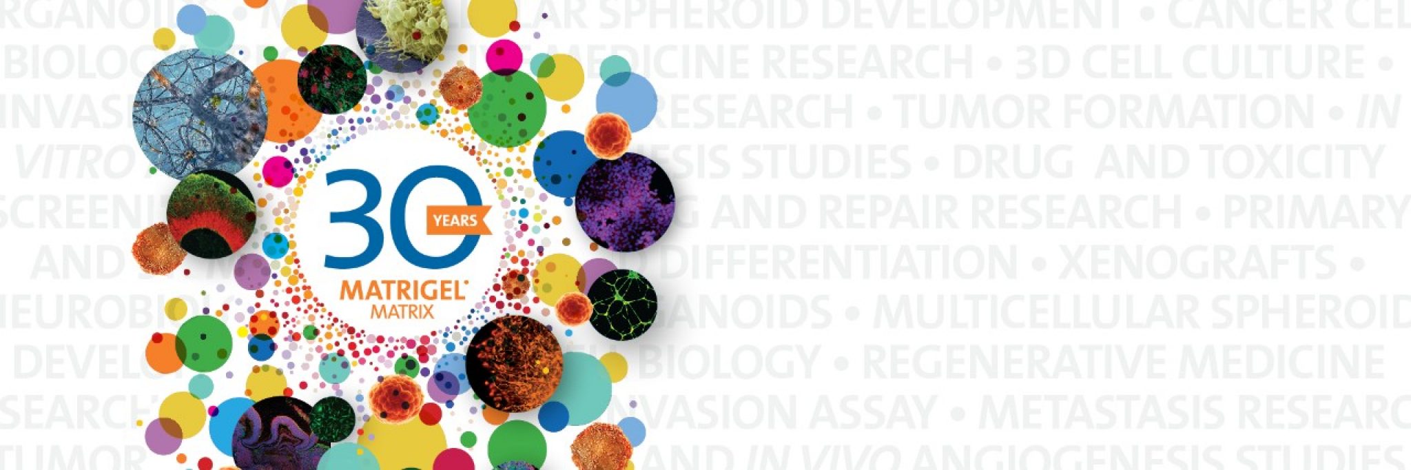 The Ultimate Guide to Corning® Matrigel® Matrix | Corning