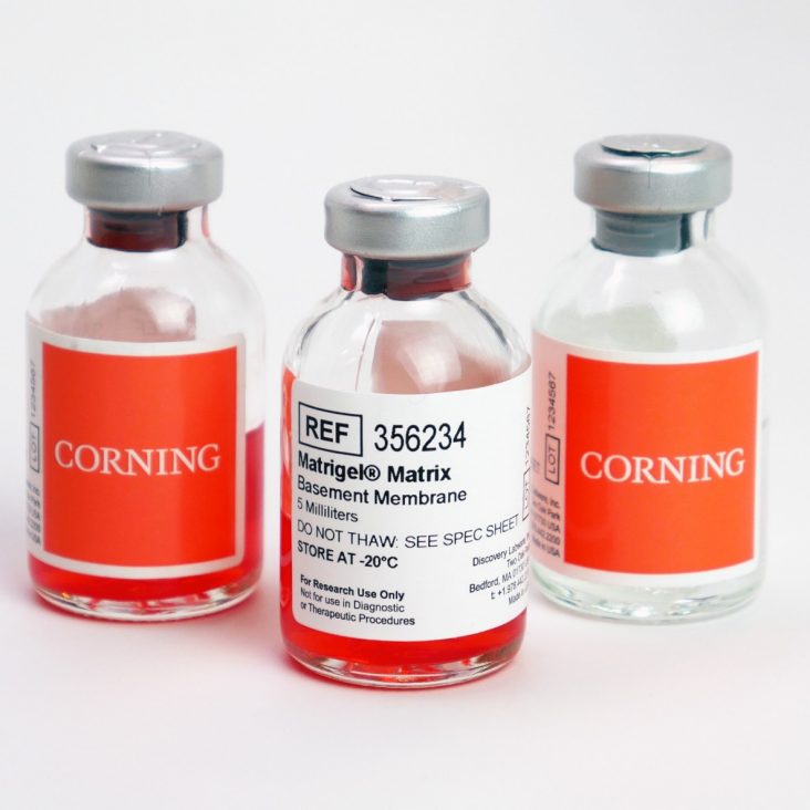 Corning® Matrigel® Matrix and Collagen Availability Update