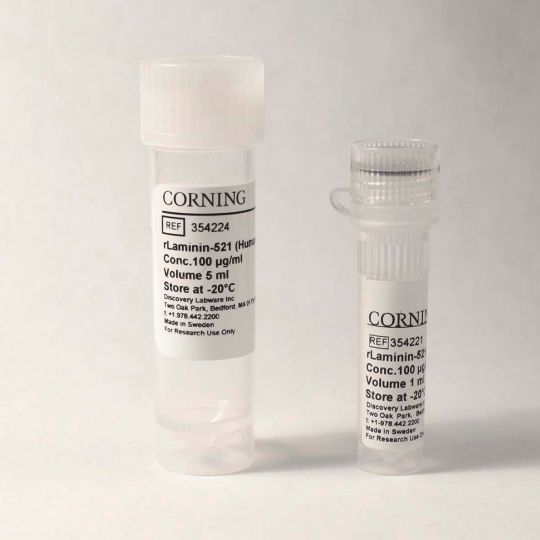 Corning® ECM Mimetic Surfaces and Substrates | ECM Mimetic and Advanced ...