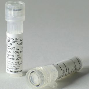 Stem Cell Applications | Stem Cell Culture Products and Solutions | Corning