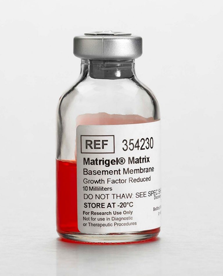 细胞培养耗材 |细胞培养器皿, 表面和培养基 | 康宁