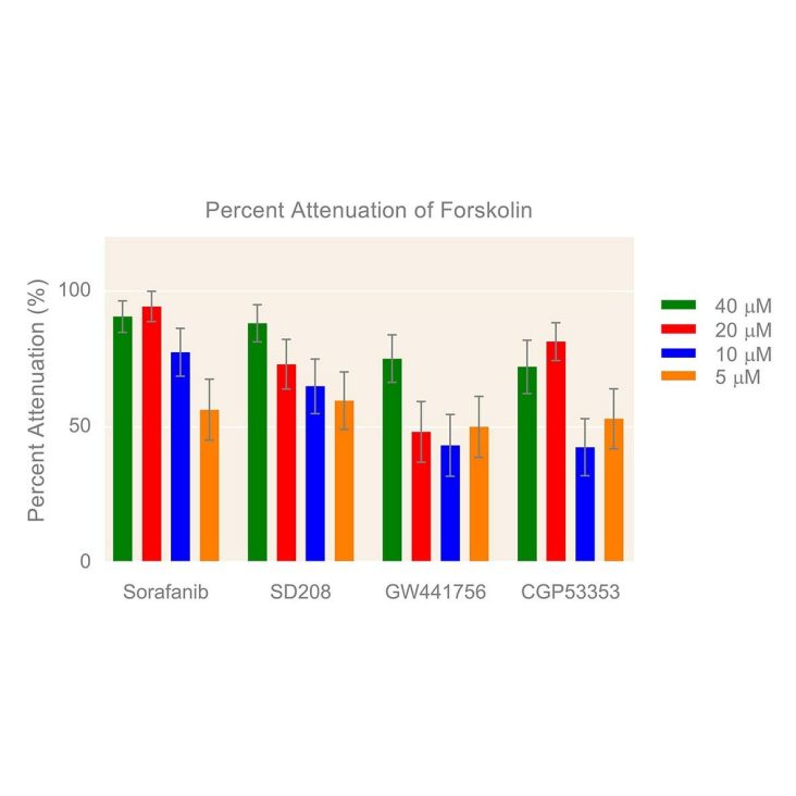 Matrigel Matrix-3D Plates | Extracellular Matrix Pre-coated Plates ...