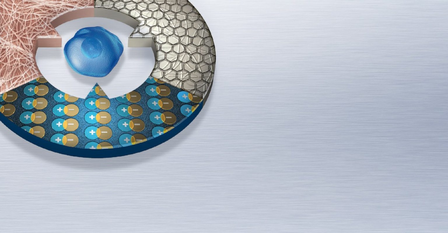 Fibronectin | Human Fibronectin (HFN) Coating | Corning