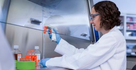 3D Cell Cryopreservation Best Practices | How Does Cryopreservation ...