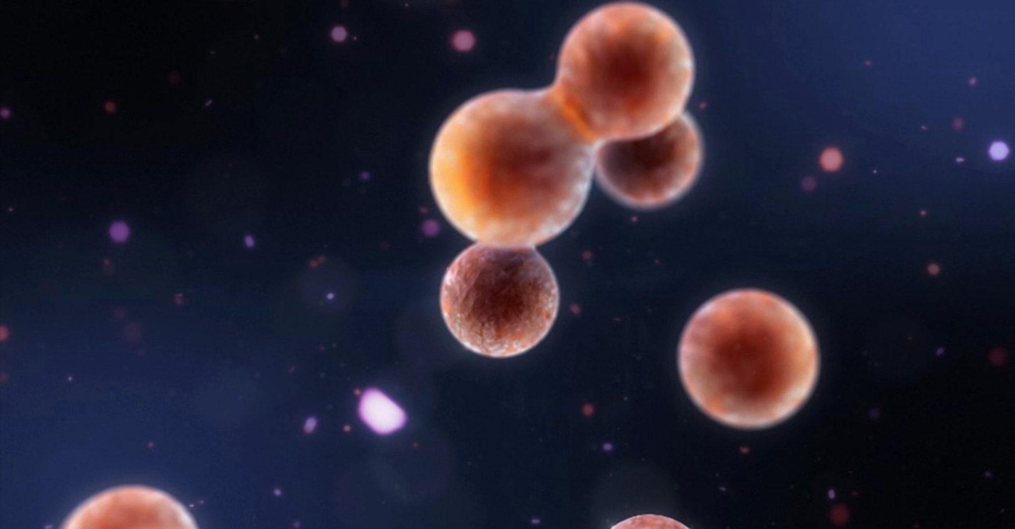 Corning® Brand Products | Life Sciences Brands | Corning.com