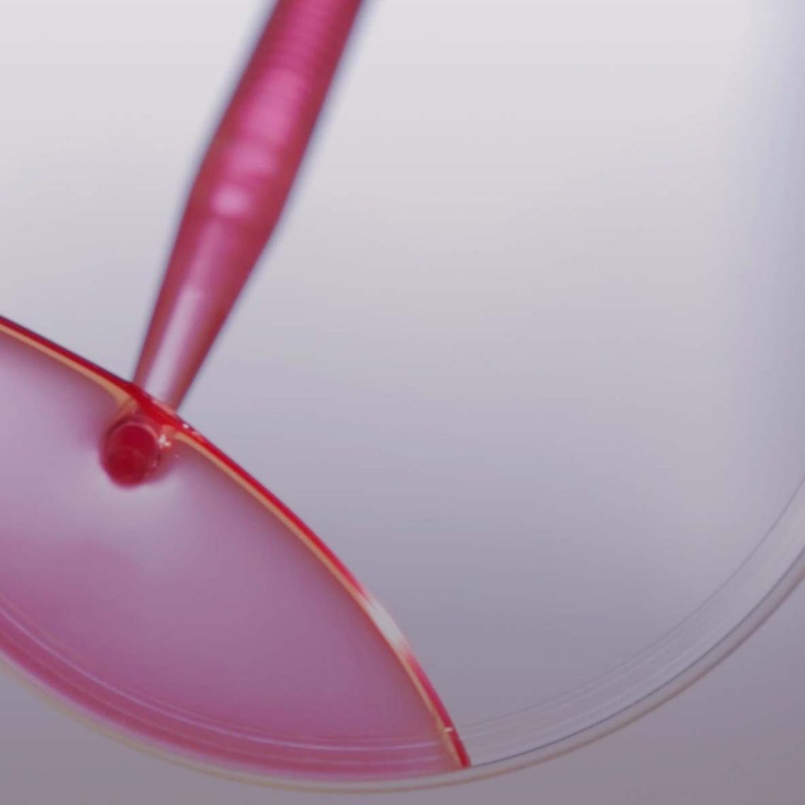 Scientific Support | Ask The Scientist | Corning