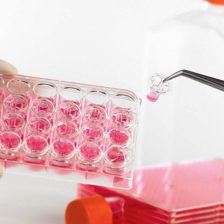 3D Organoid Culture Models | Corning