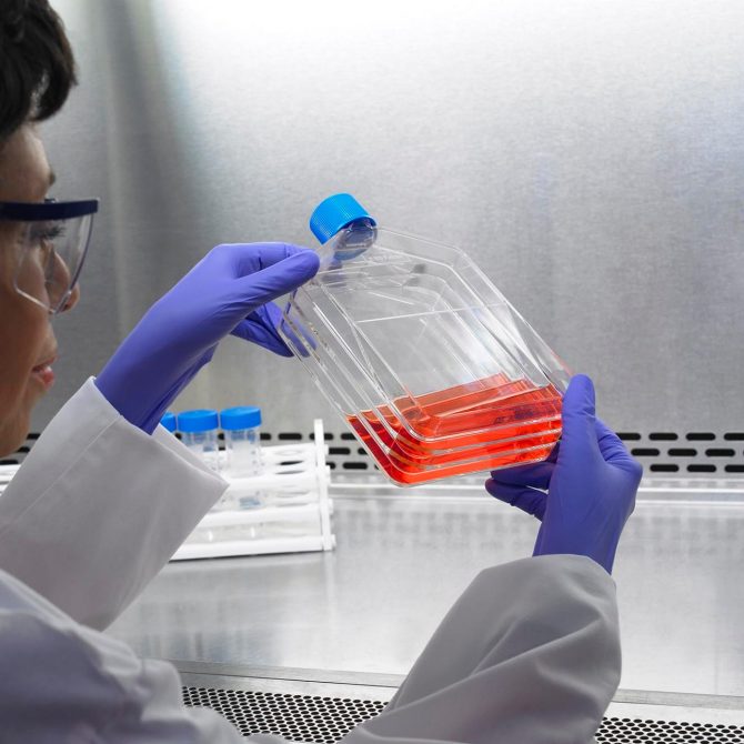 Falcon® Brand Products | Tubes, Dishes, Pipettes, and Cell Culture ...