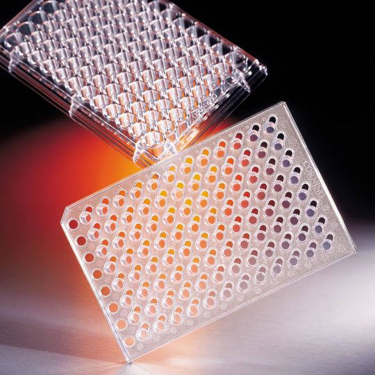 使用ガイドライン | Transwell® (トランズウェル) パーミアブルサポート、Snapwell™ (スナップウェル) および ...