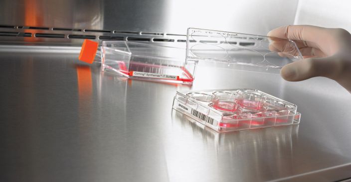 Services | Life Sciences | Corning