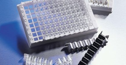 How to Determine Plate Format for High Throughput Screening | Corning