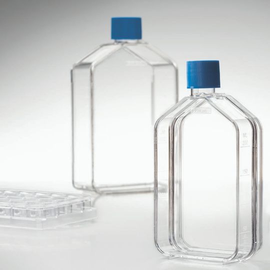 Stem Cell Applications | Stem Cell Culture Products and Solutions | Corning