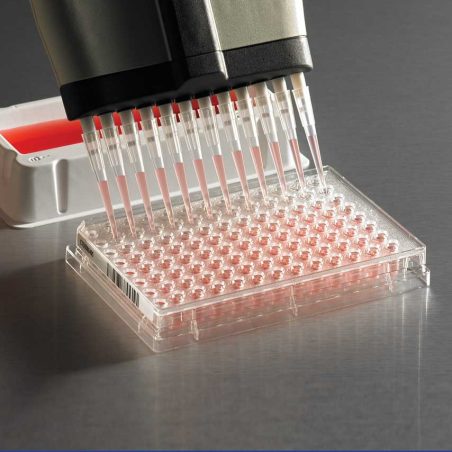 Cell Culture Inserts | Permeable Supports | Corning