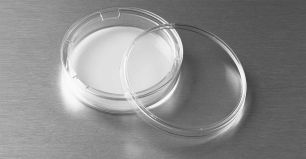 Guidelines for Use: Transwell® Permeable Supports | Life Sciences | Corning