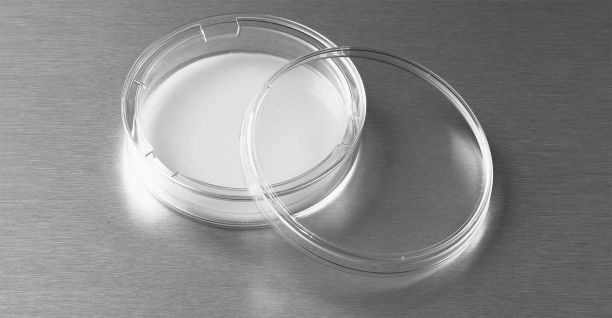 Guidelines for Use: Transwell® Permeable Supports | Life Sciences | Corning