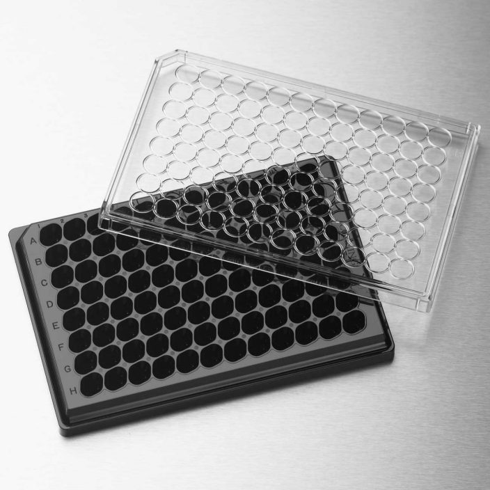Permeable Supports | Individual Inserts | Corning