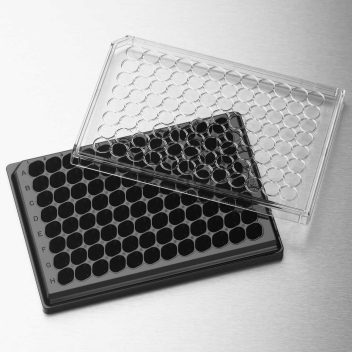Permeable Supports | Individual Inserts | Corning