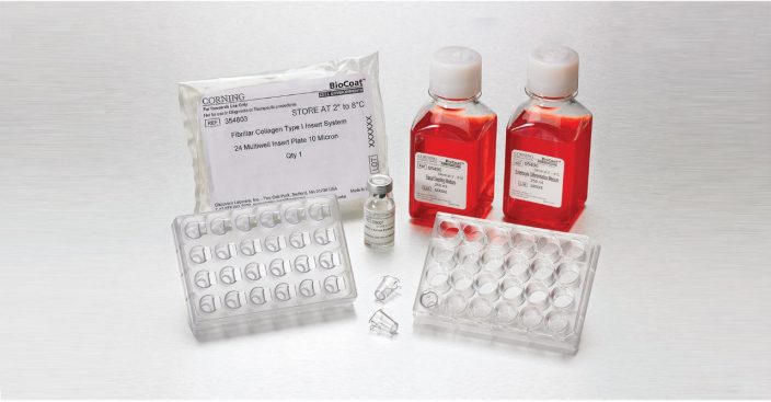 Permeable Supports | Individual Inserts | Corning