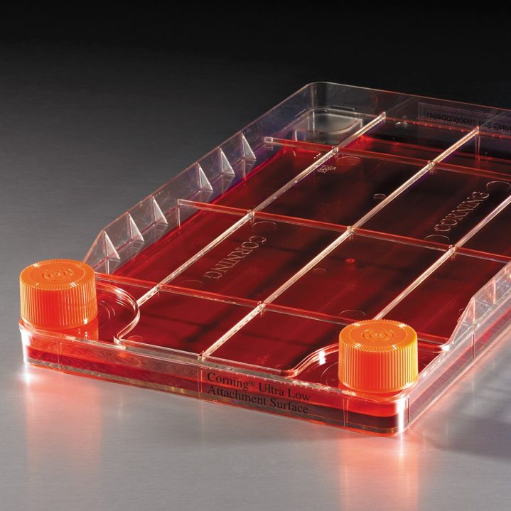 Ultra-Low Attachment Surface | Enable 3D Spheroid Formation | Corning