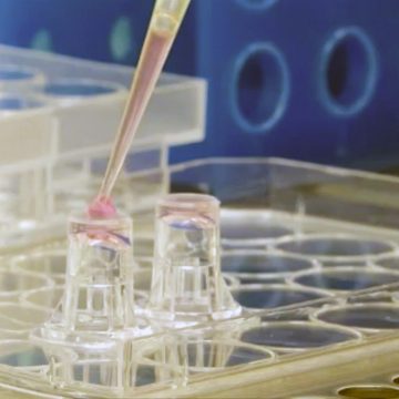 Cancer Research Products | Cancer Cell Research Resources | Corning